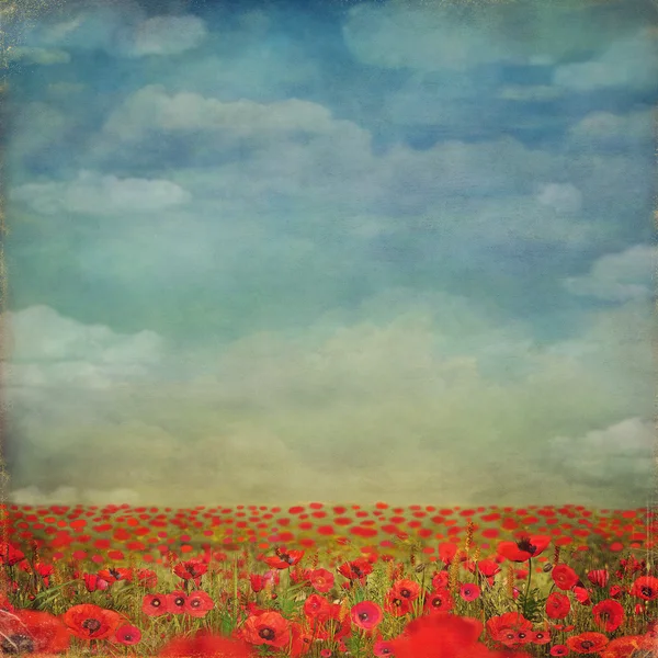Cartoon poppies Stock Photos, Royalty Free Cartoon poppies Images ...