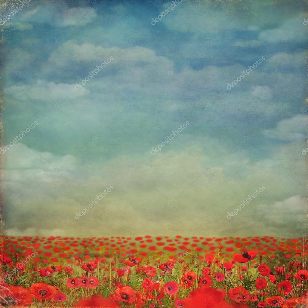Red poppies field with blue sky — Stock Photo © natamc #85648430