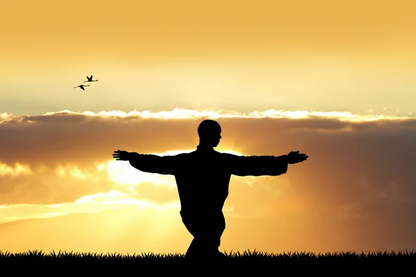 Шаолинь Stock Photos, Royalty Free Шаолинь Images | Depositphotos