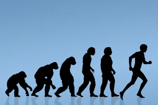Human evolution Stock Photos, Royalty Free Human evolution Images ...
