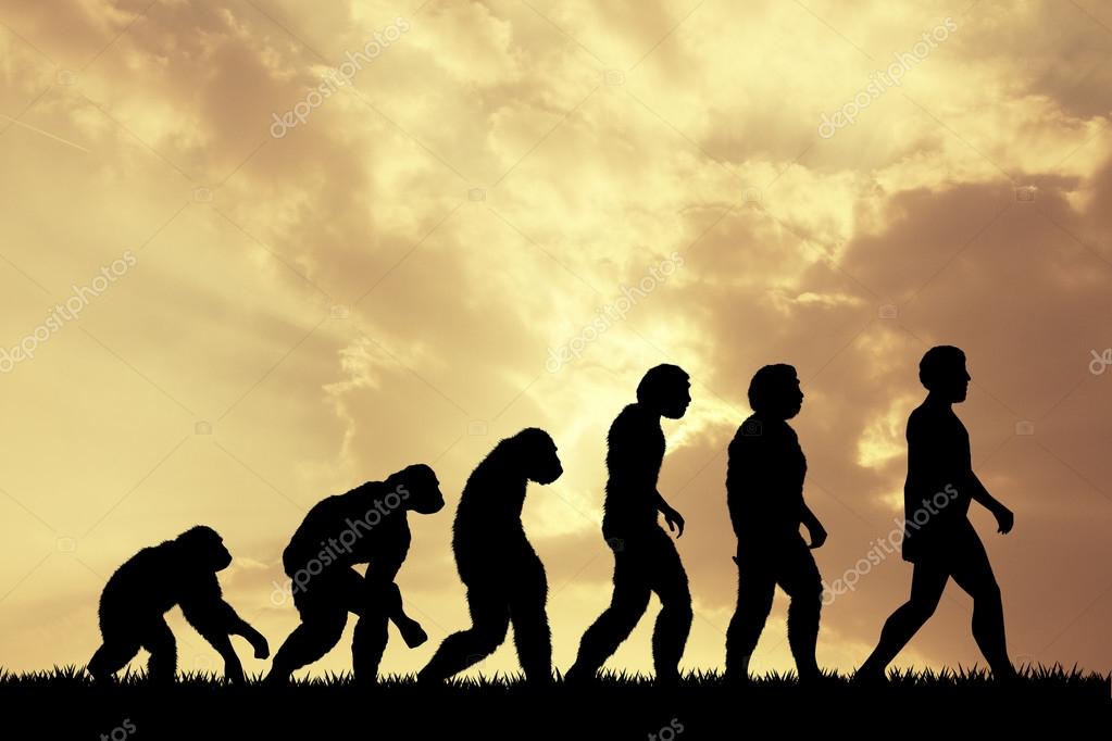 Human evolution at sunset Stock Photo by ©adrenalina 113684202