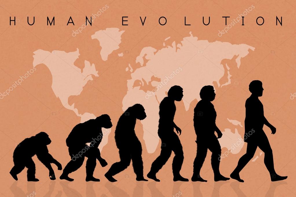 Illustration of Human evolution Stock Photo by ©adrenalina 113684334