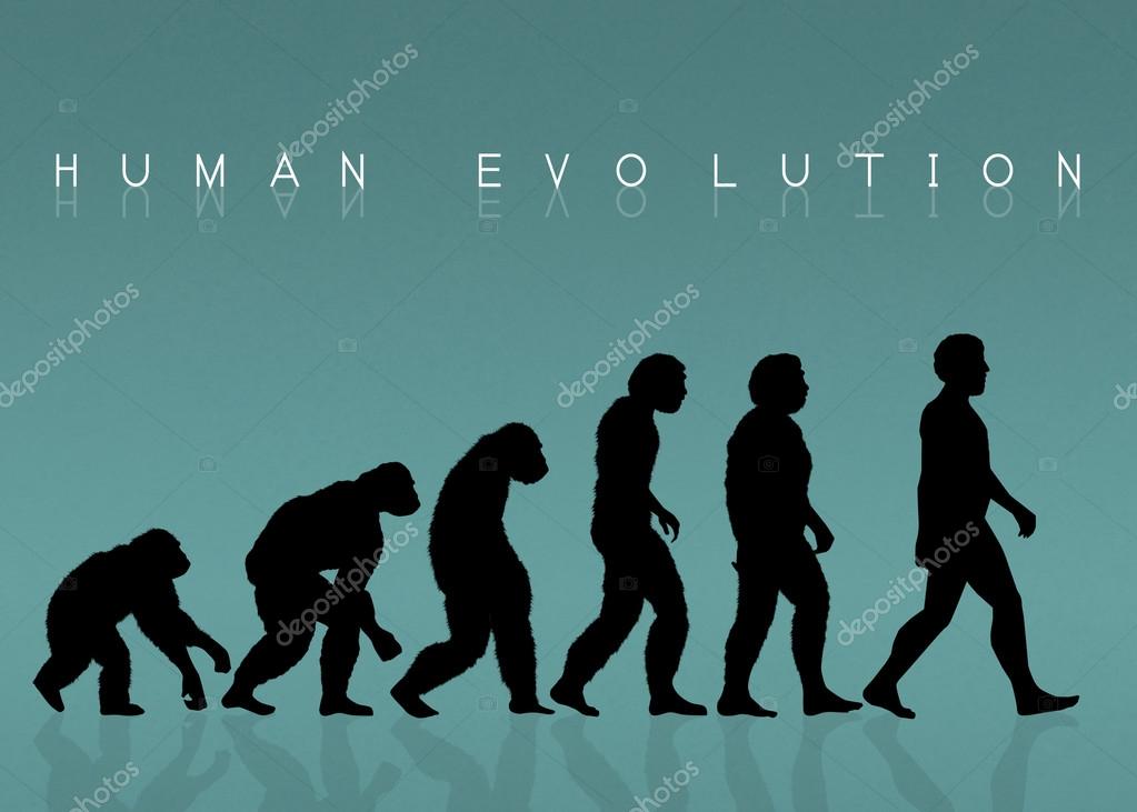 Human evolution silhouette Stock Photo by ©adrenalina 120833862