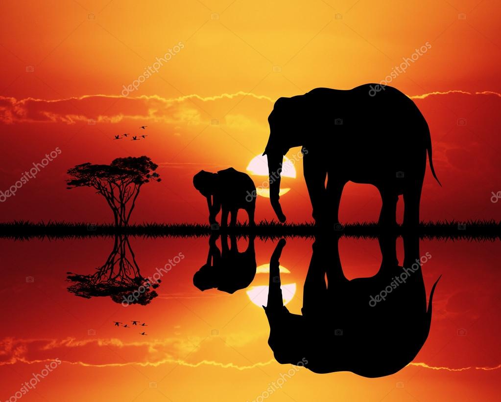 African Sunset With Elephants
