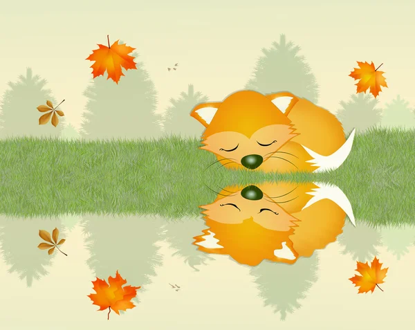 ᐈ A bear hibernating stock pictures, Royalty Free hibernation images ...