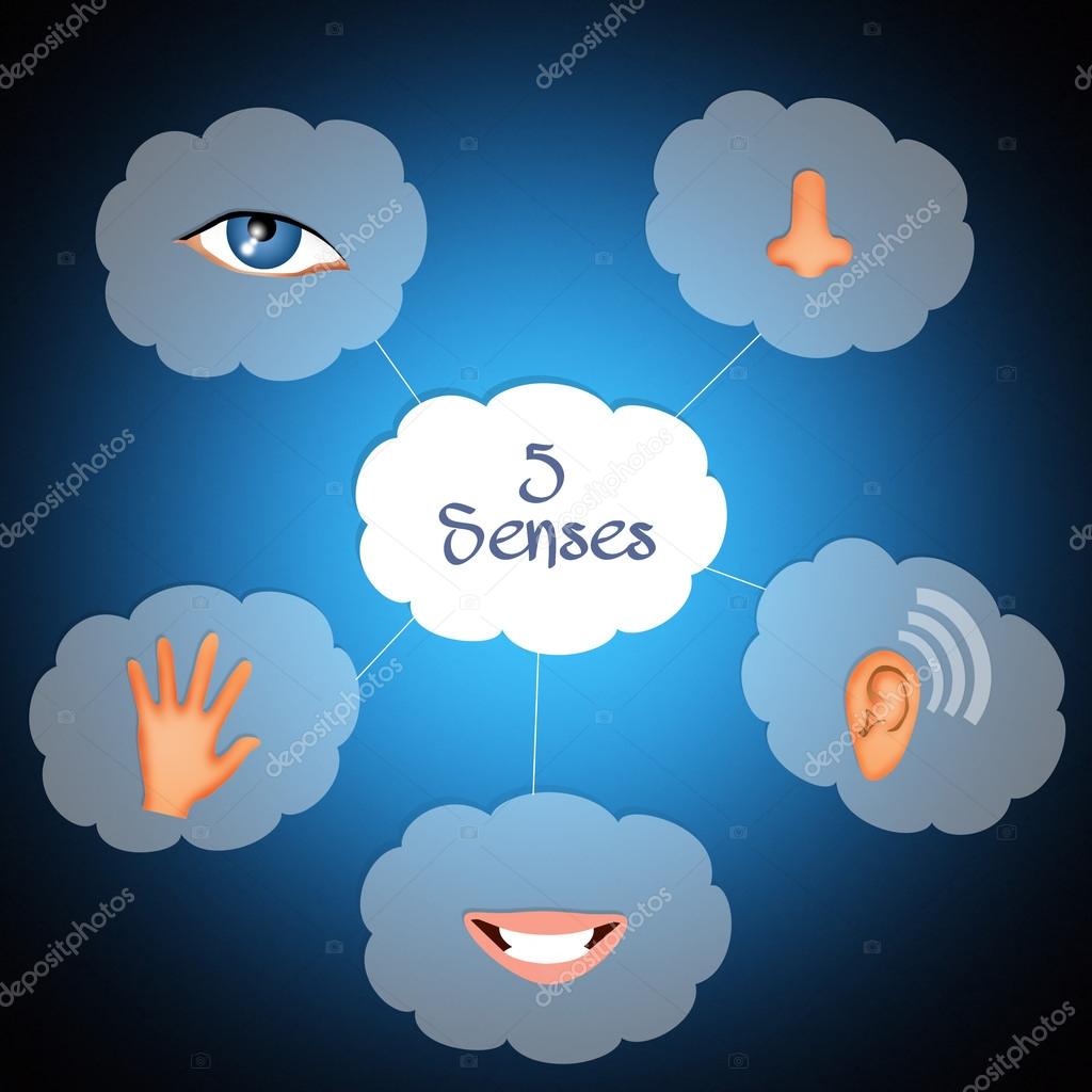 Five Senses — Stock Photo © adrenalina #56703645