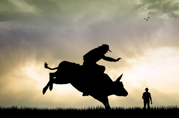 Bull rider Stock Photos, Royalty Free Bull rider Images | Depositphotos®