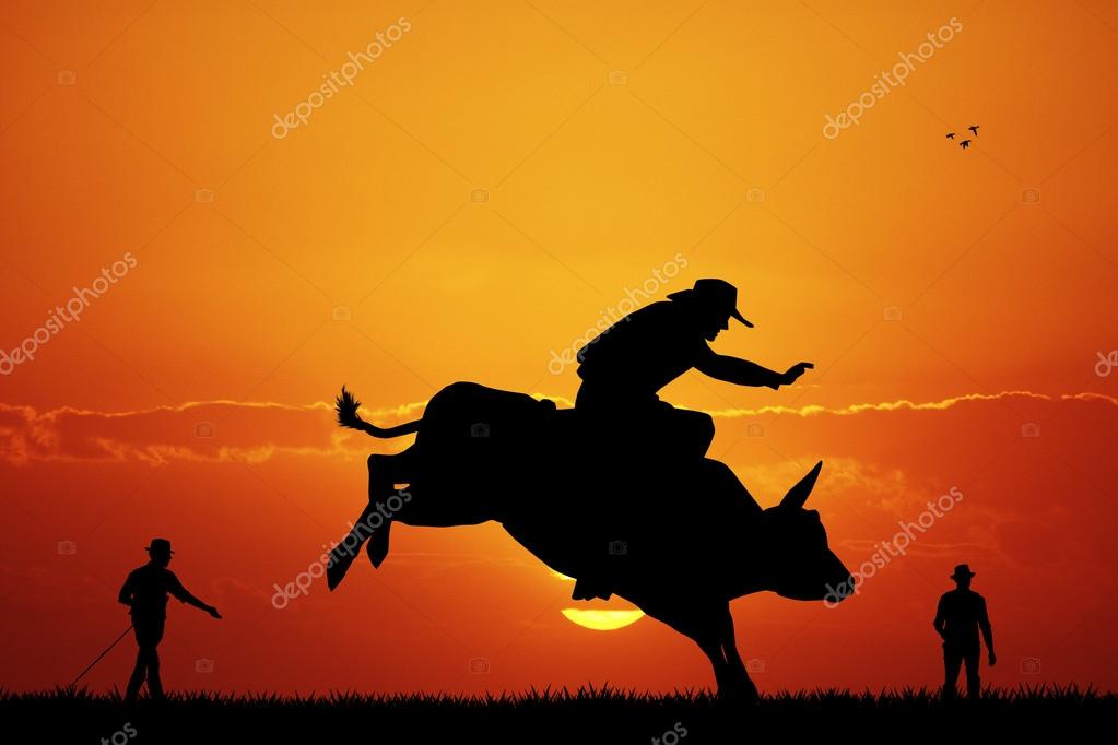 Bull Rider Silhouette