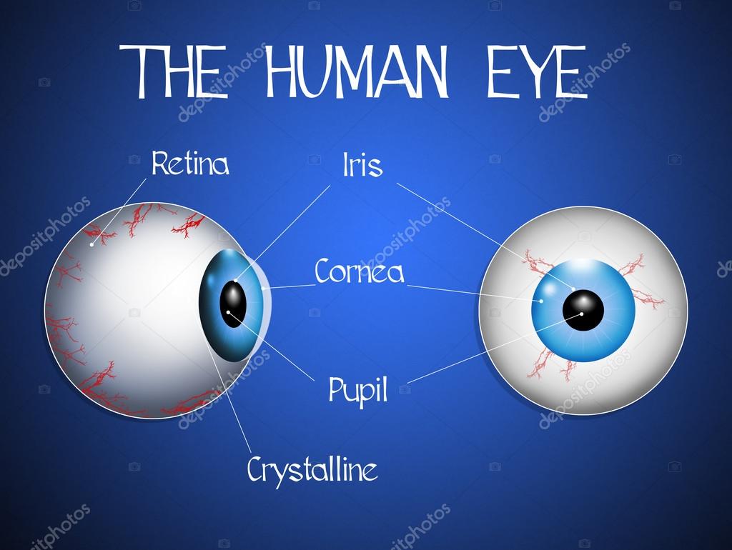 The human eye — Stock Photo © adrenalina #64297083