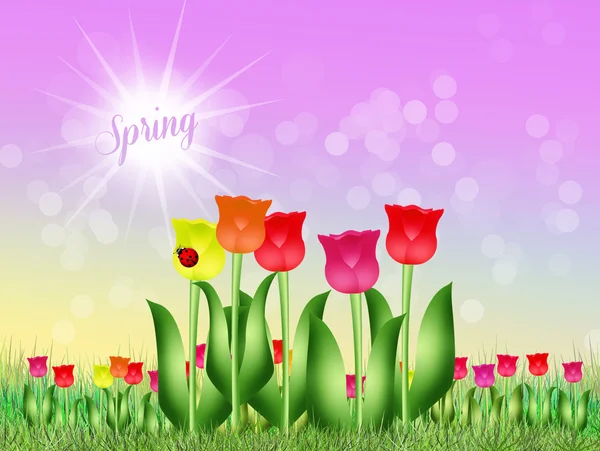 Happy friday spring Stock Photos, Royalty Free Happy friday spring ...