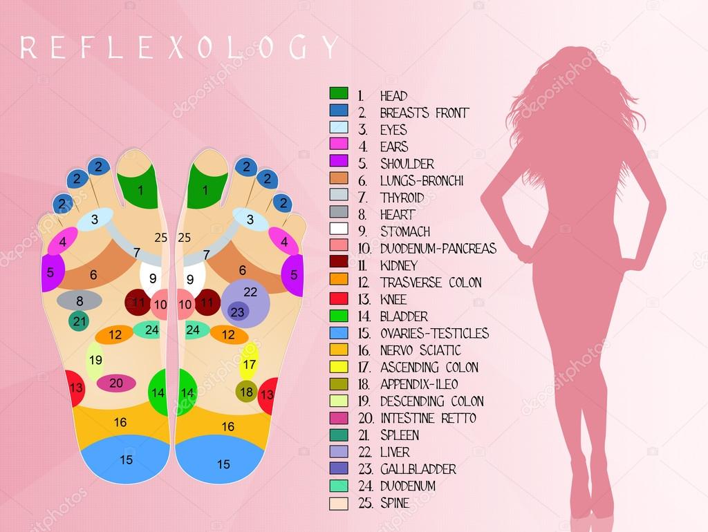 Reflexology foot chart Stock Photo by ©adrenalina 97236086