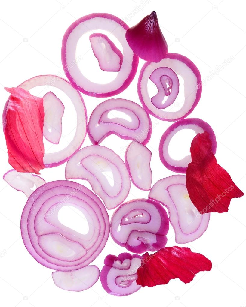 Onion cut close up top view Stock Illustration by ©LuGrish #99236536
