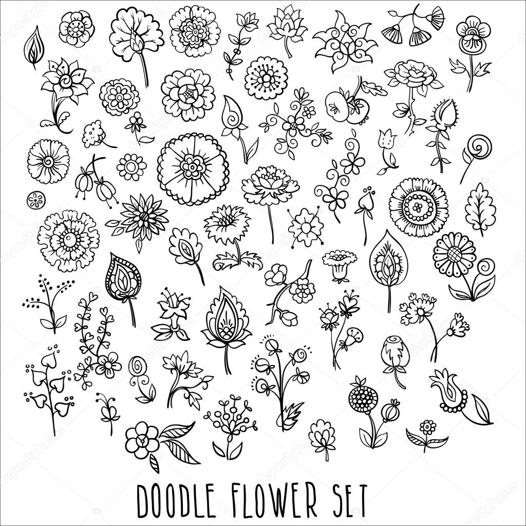 Hand drawn floral elements Stock Vector by ©Red_Spruce 77688628