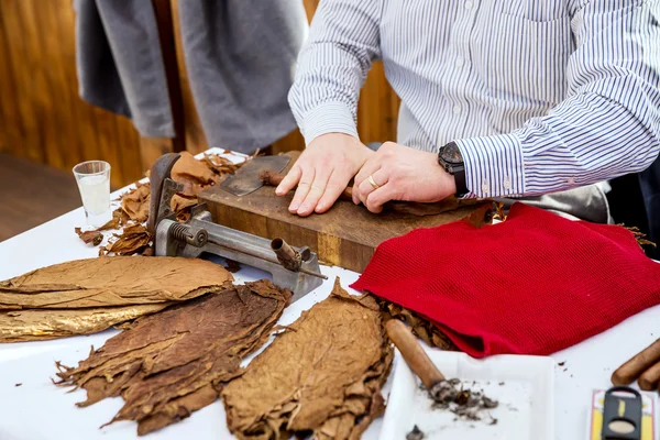 1,067 Cigar making Stock Photos, Cigar making Images | Depositphotos®