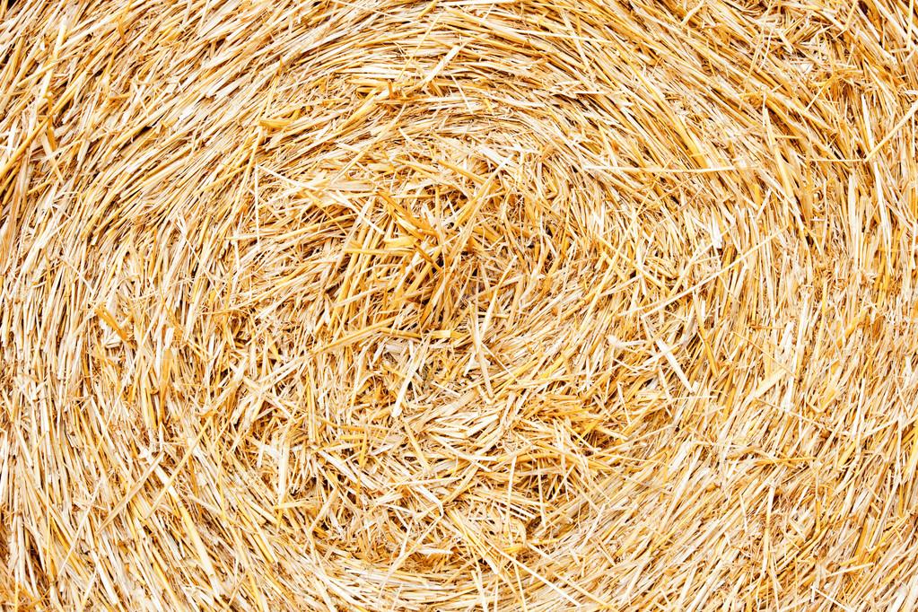 Texture de paille image libre de droit par Arcady © #65616757