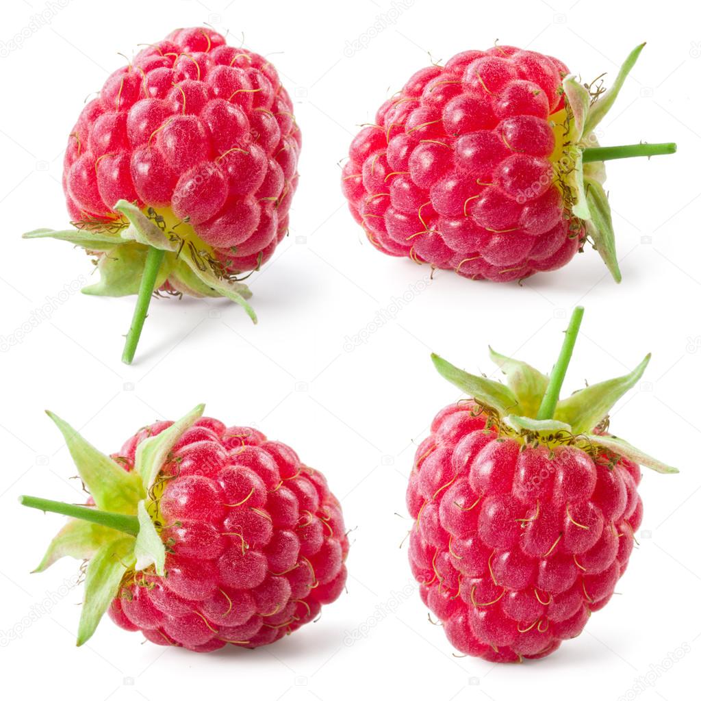 Raspberry isolated on white background. Collection. — Stock Photo ...