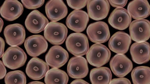 61 Bad cells Videos, Royalty-free Stock Bad cells Footage | Depositphotos