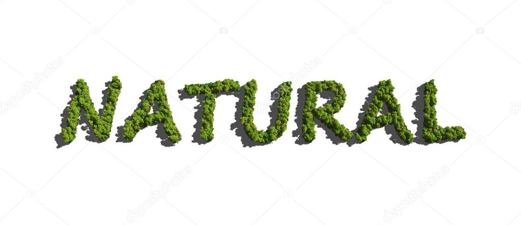 Text NATURAL created by trees — Stock Photo © realcg #72229519
