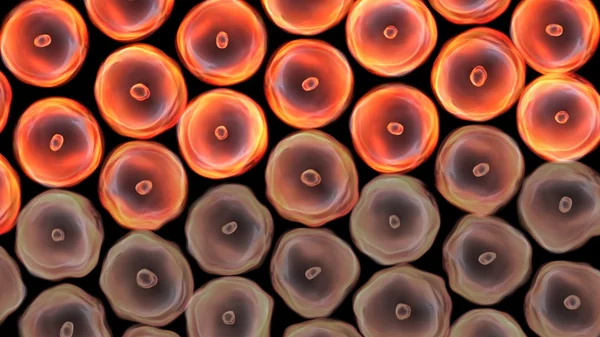 Bad cells turn better - Stock Image - Everypixel