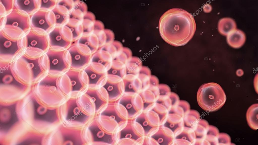 Pink skin cells moving to wall ⬇ Stock Photo, Image by © realcg #72747337