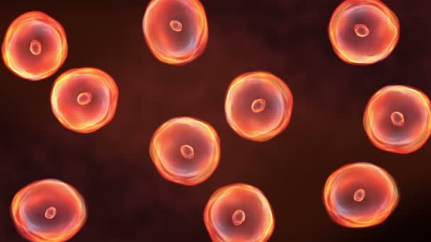 905 vídeos de Mitosis, metraje de Mitosis sin royalties | Depositphotos