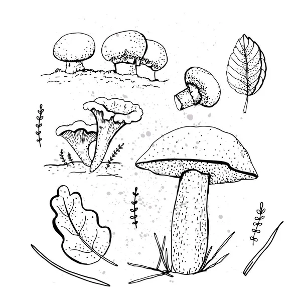 Decomposers Drawing
