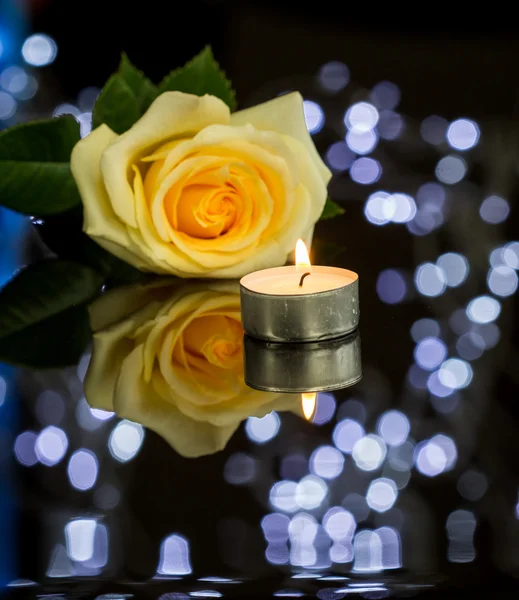 Pretty Rose, Lighted Candle - Stock Image - Everypixel
