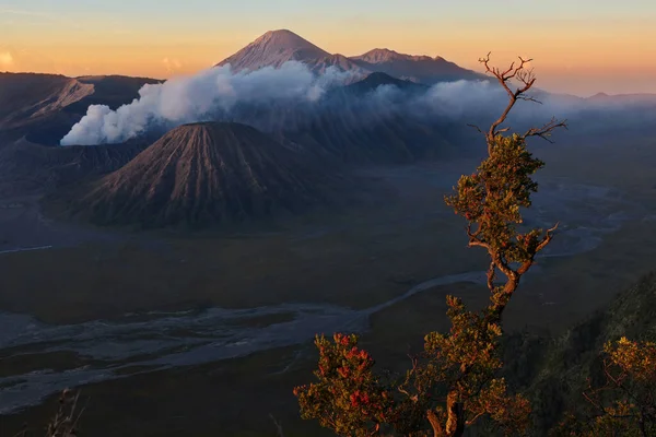 Mount bromo indonesia Stock Photos, Royalty Free Mount bromo indonesia ...