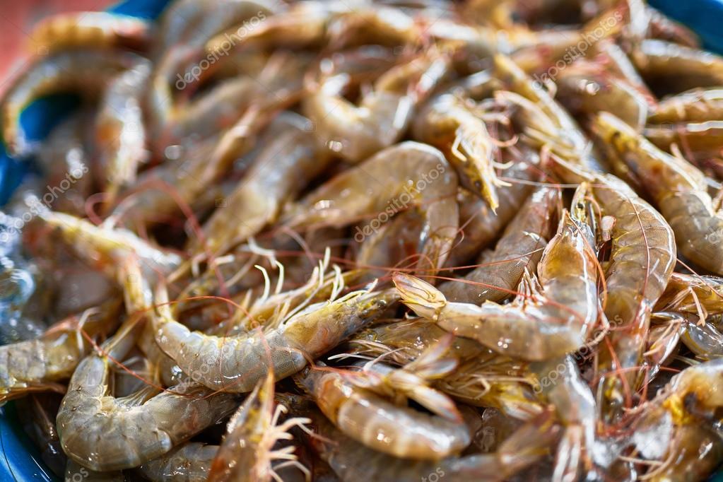 Seafood. Fresh Caught Shrimps ( Prawns ) At Farmers Market. Heal ⬇ ...