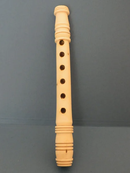Wooden flute recorder — Stock Photo © route66 #315145972