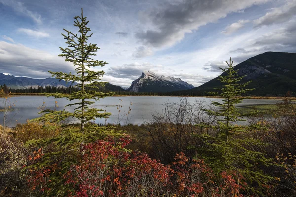 Rundle Stock Photos, Royalty Free Rundle Images | Depositphotos