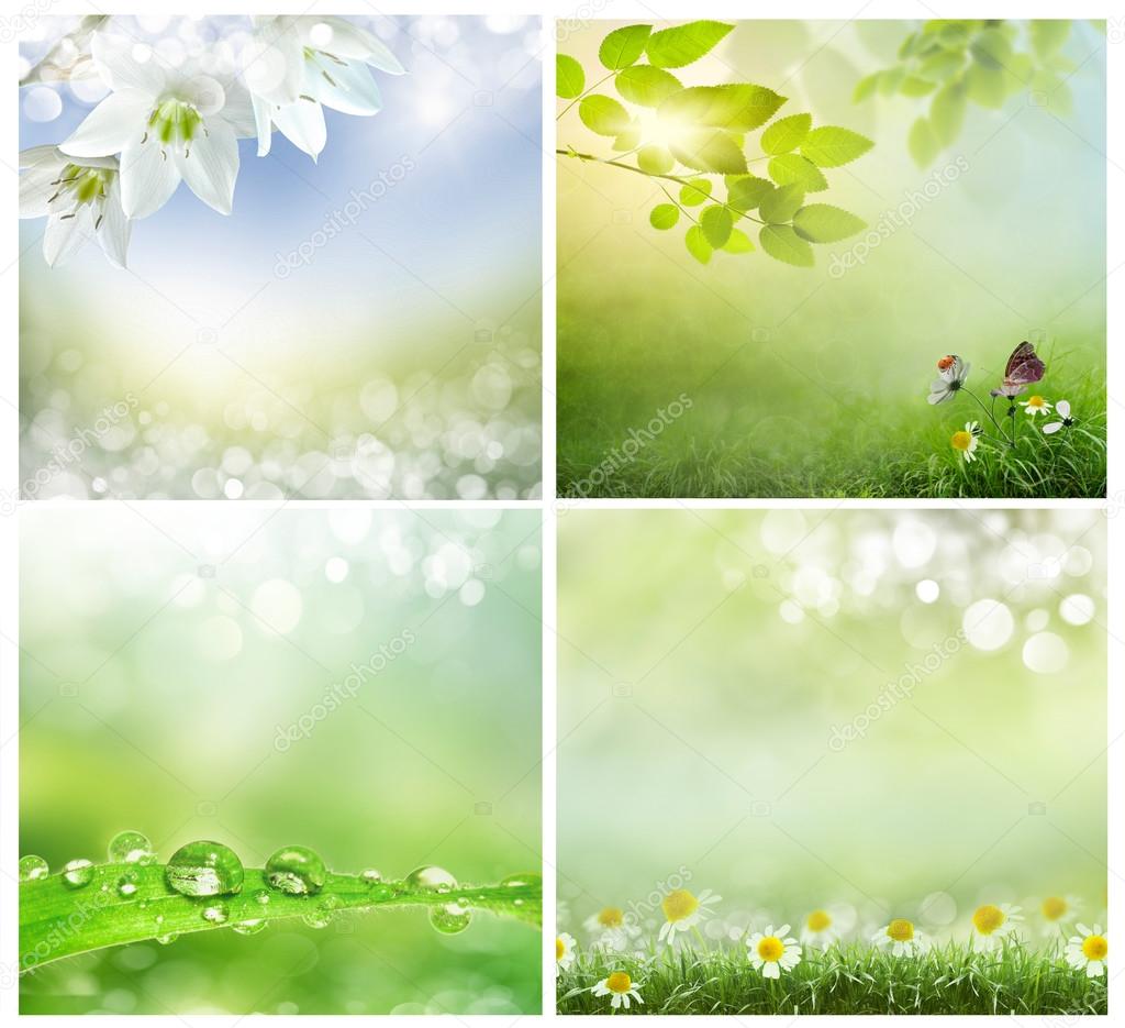 Spring backgrounds — Stock Photo © Krivosheevv #66063993