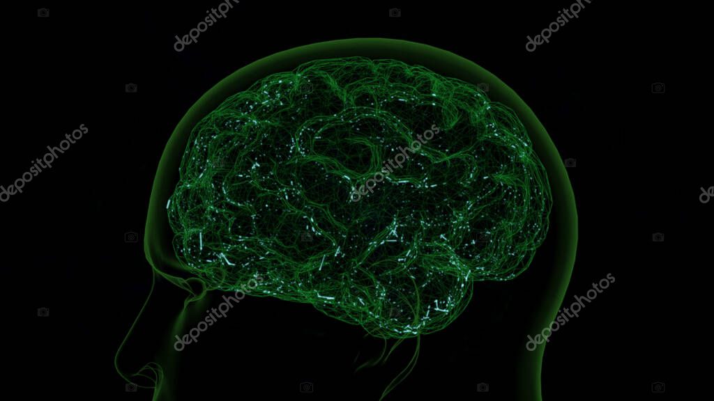 Primer plano de un cerebro virtual dentro de un holograma de cabeza ...