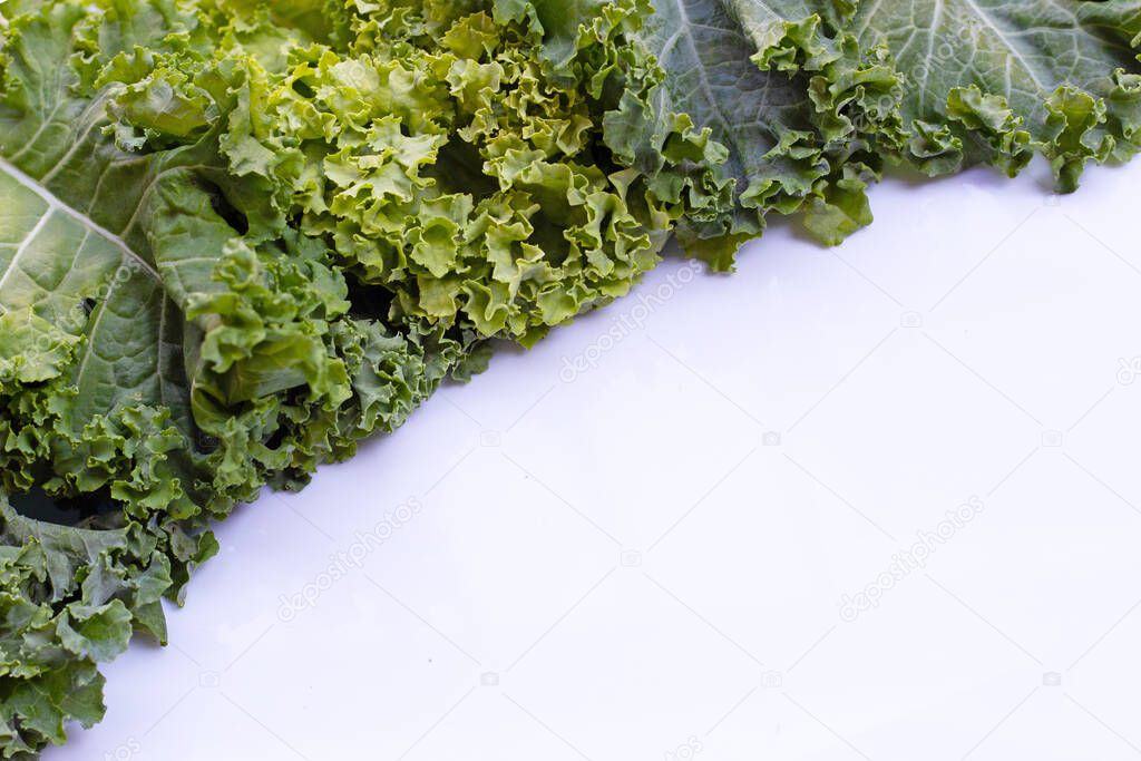 La col rizada fresca deja la ensalada vegetal sobre el fondo blanco. 2024
