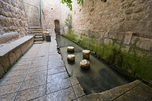 ᐈ Pharisees stock pictures, Royalty Free pool of siloam images ...