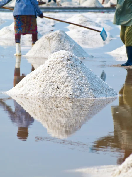 Salt farm Stock Photos, Royalty Free Salt farm Images | Depositphotos