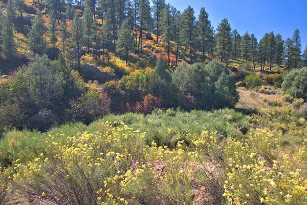 Sagebrush mountain Stock Photos, Royalty Free Sagebrush mountain Images ...