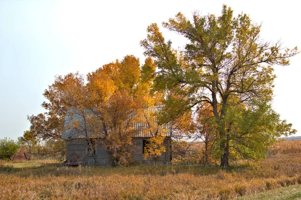 Fall farm Stock Photos, Royalty Free Fall farm Images | Depositphotos