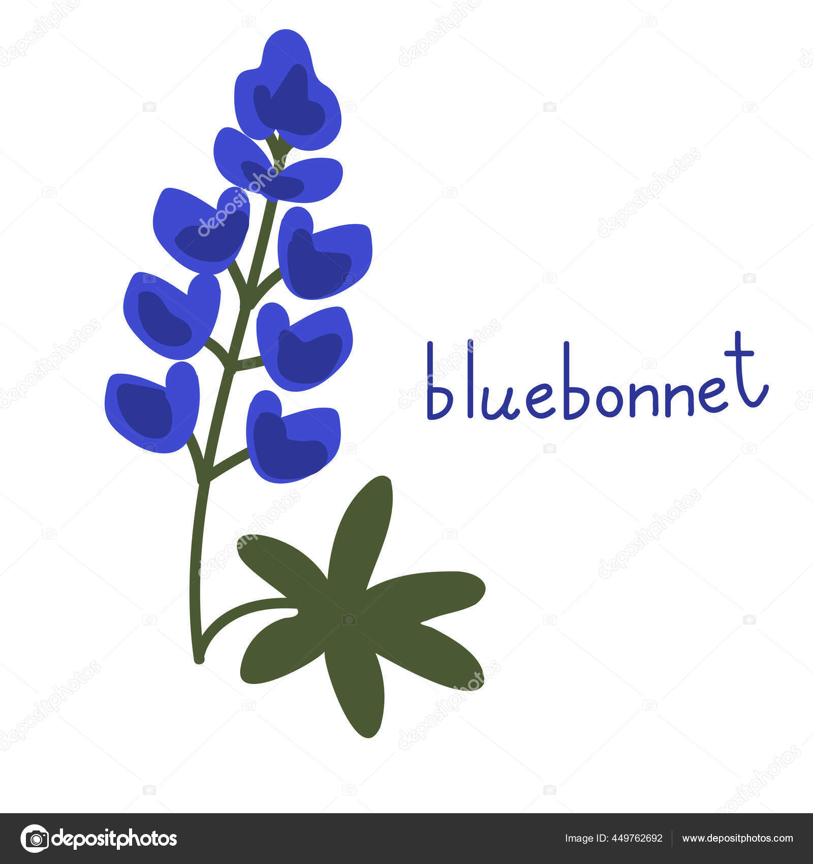 Bluebonnet Vector Flower Isolated Illustration Stock Vector Image by ...