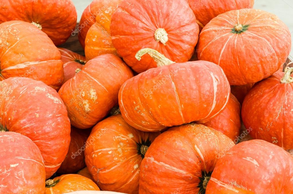 Orange winter squash at the market — Stock Photo © zigzagmtart #121738816