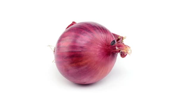 Red onion on white background Stock Vector by ©Natasha55 62131355