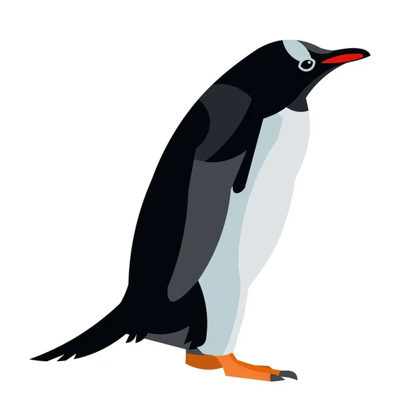 Grafika wektorowa Pingwin adeli, Pingwin adeli obrazy wektorowe ...