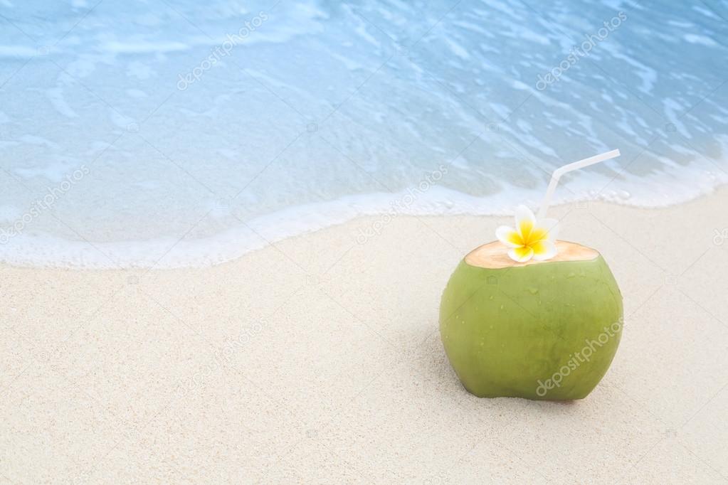 Refresco de coco tropical 2023