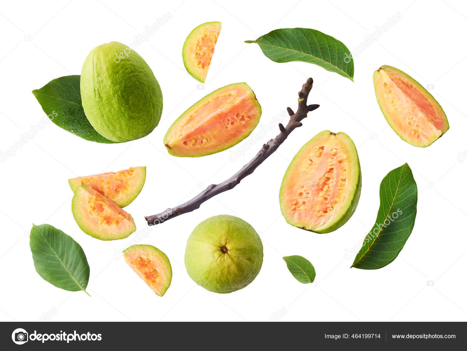 Set Fresh Ripe Whole Halved Guava Leaves Isolated White Background ...