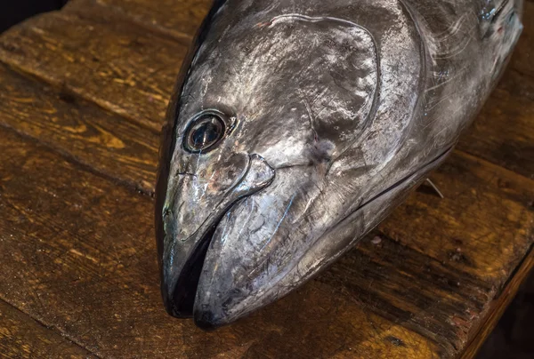 ᐈ Tuna stock images, Royalty Free bluefin tuna photos | download on ...