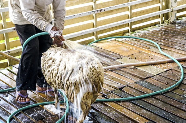 Portfolio: iamnao | Stock Photos, Illustrations and Vector Art ...