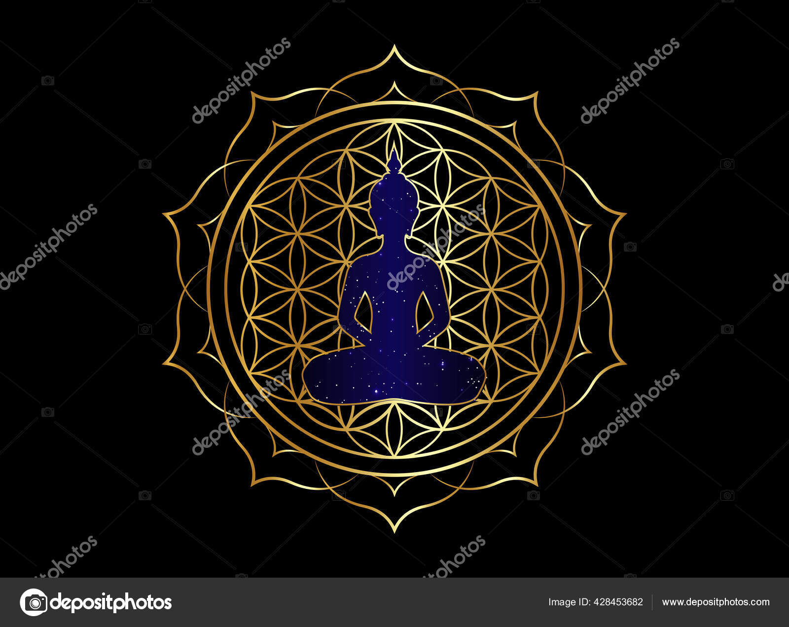 Lotus Flower Inner Peace | Best Flower Site