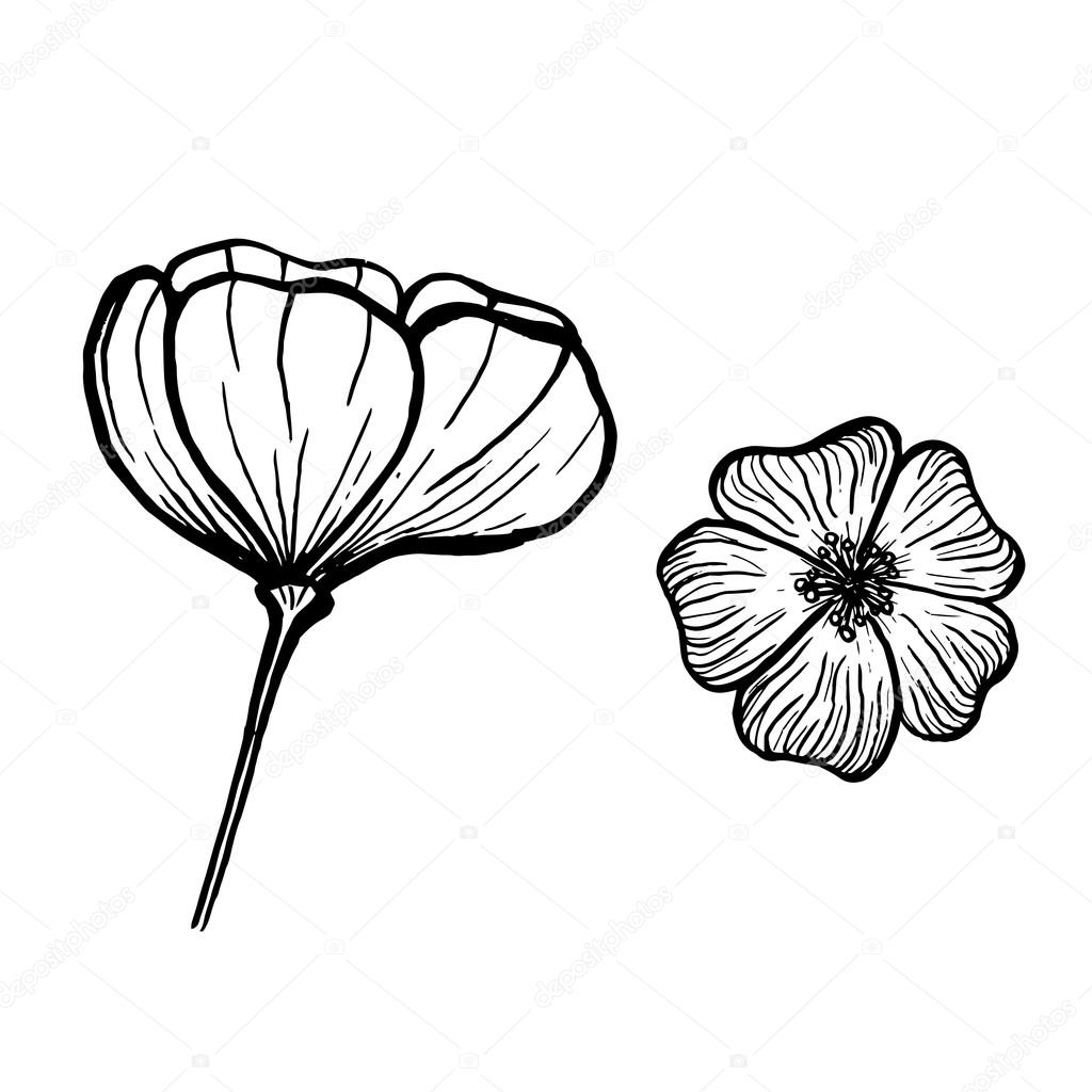Ink flowers Stock Illustration by ©shoshina #61000305