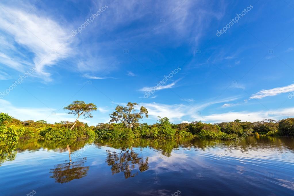Reflexiones de la selva amazónica — Foto de stock #92489058 © jkraft5