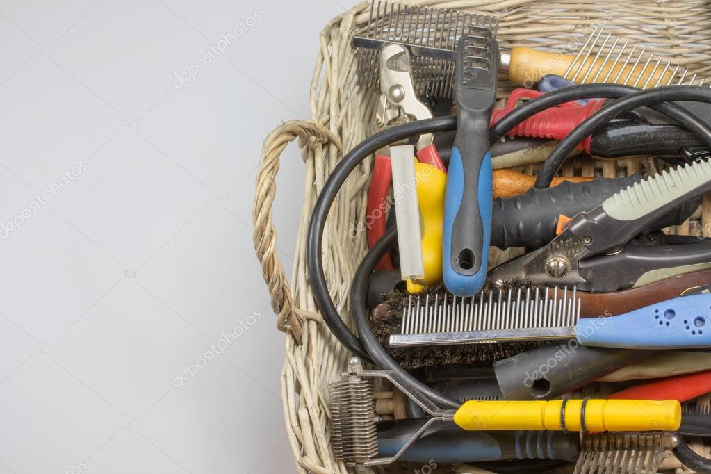 Used tools for a dog grooming in right side of the photo Stock Photo by ...